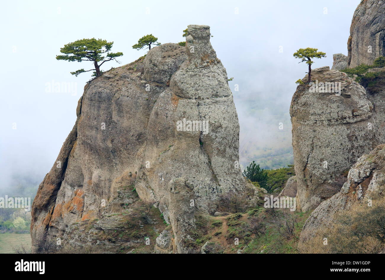 Outdoor rocks and trees hi-res stock photography and images - Alamy