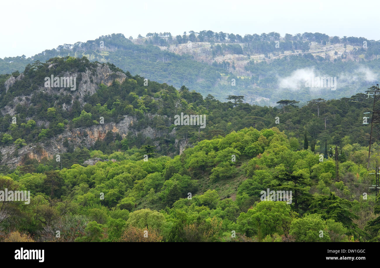 Spring Mountain landscape Stock Photo - Alamy