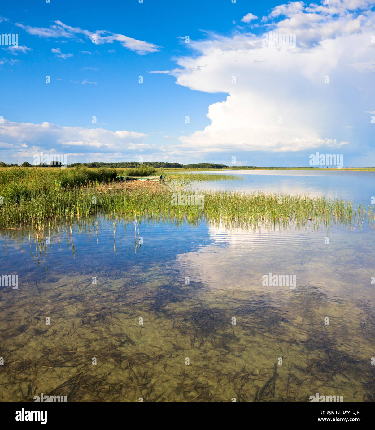 Summer lake panorama Stock Photo - Alamy