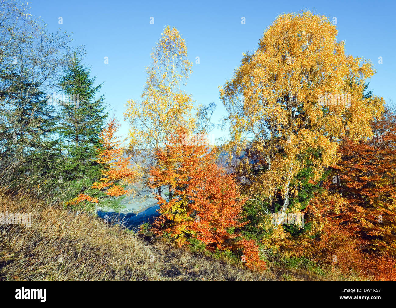 Autumn mountain Nimchich pass Stock Photo - Alamy