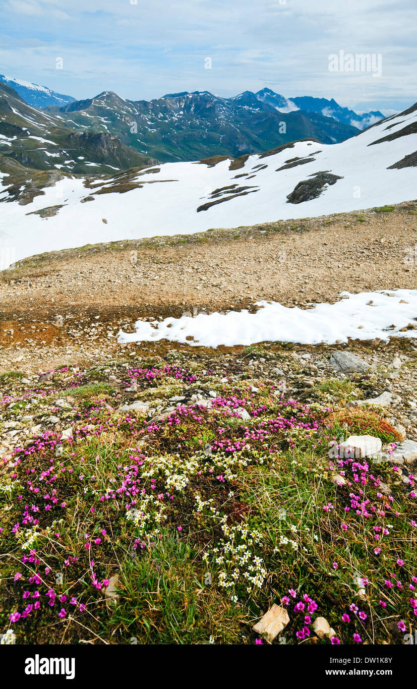 The alps summer hi-res stock photography and images - Alamy