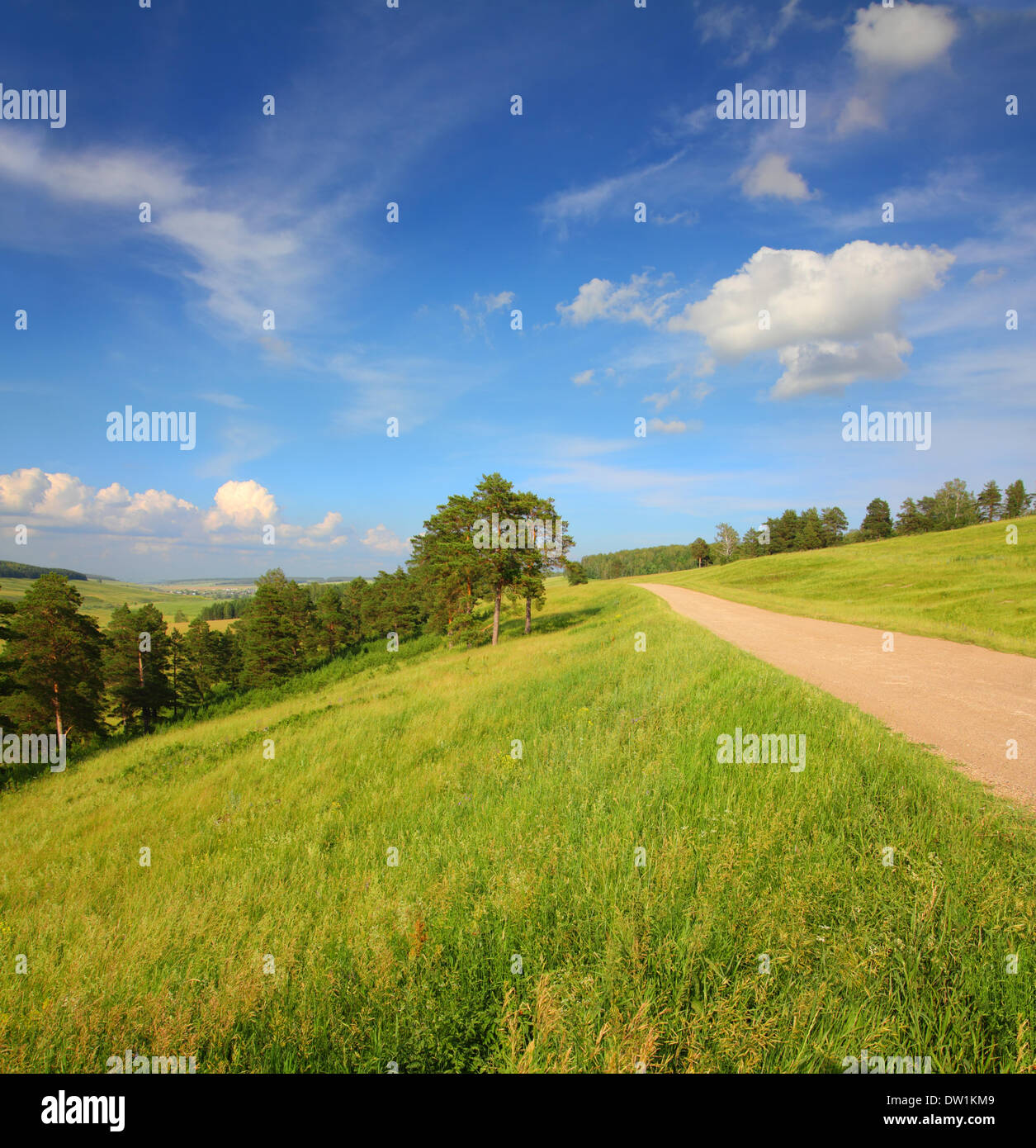 summer landscape with road Stock Photo - Alamy