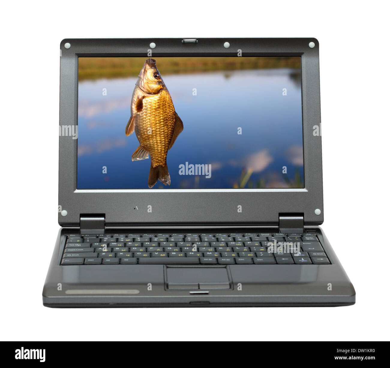 Open laptop blue screen Cut Out Stock Images & Pictures - Alamy