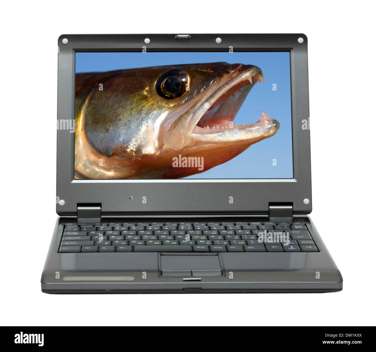 Open laptop blue screen Cut Out Stock Images & Pictures - Alamy