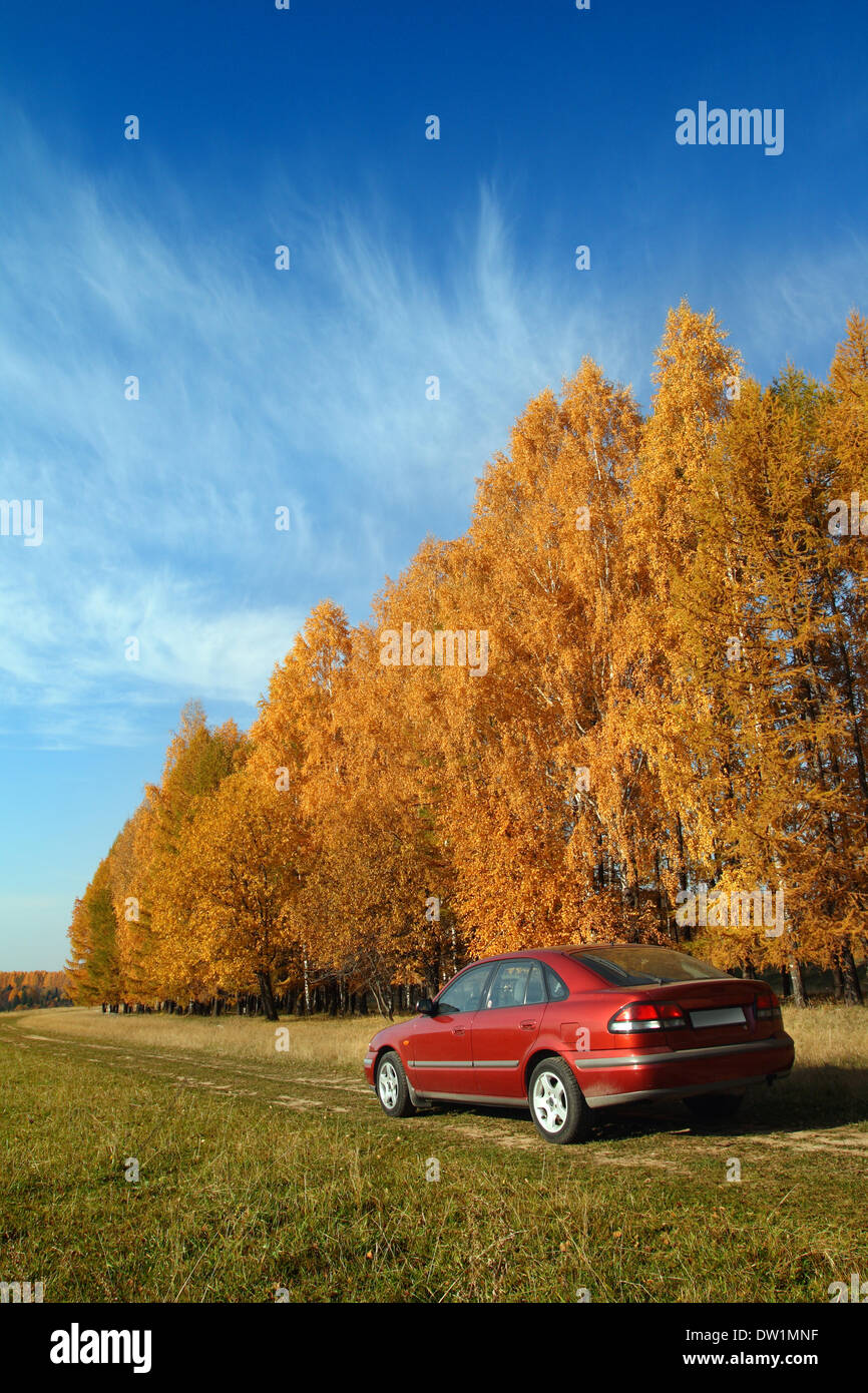 Car near tree hi-res stock photography and images - Alamy