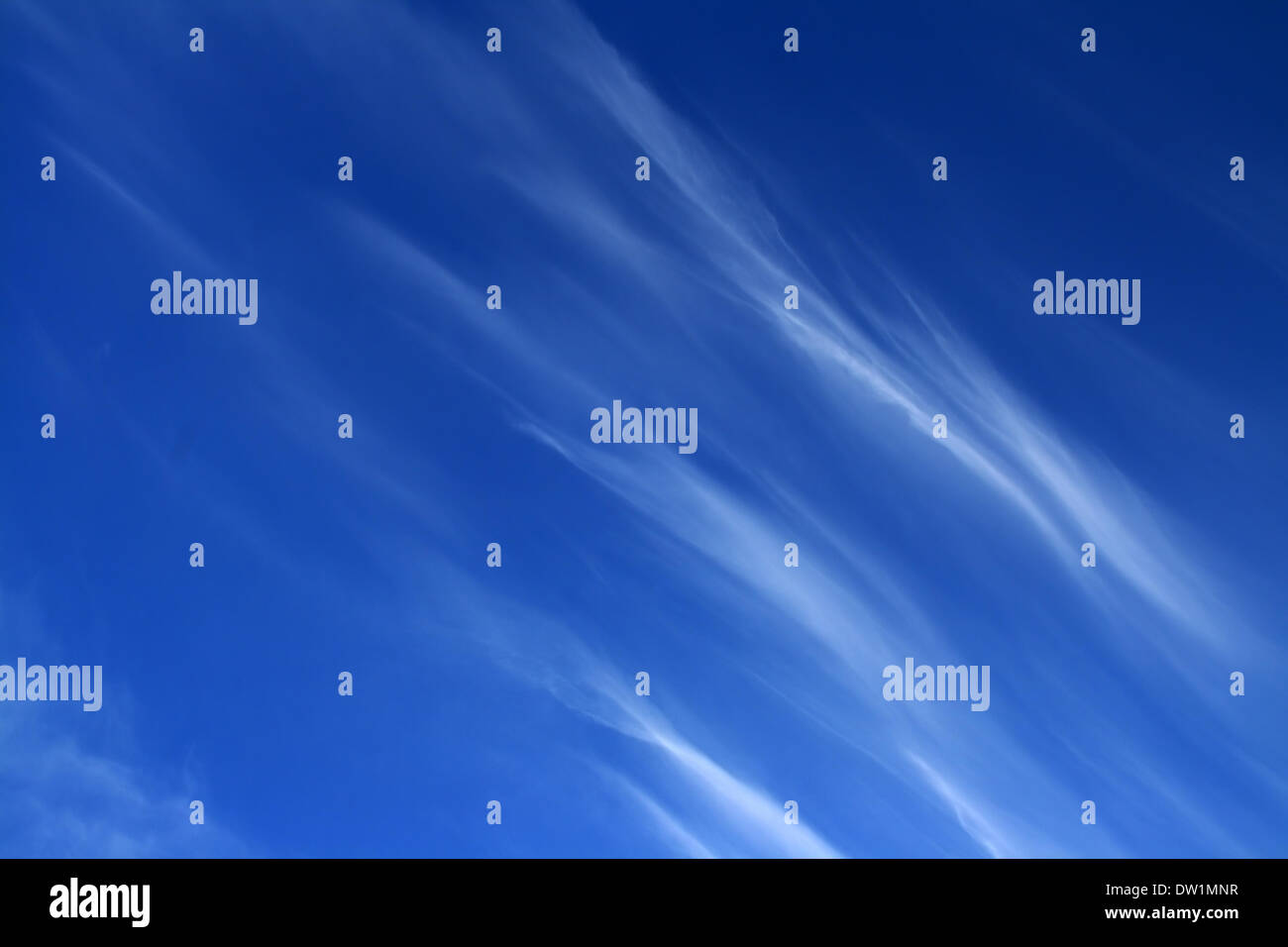 Fleecy hi-res stock photography and images - Alamy