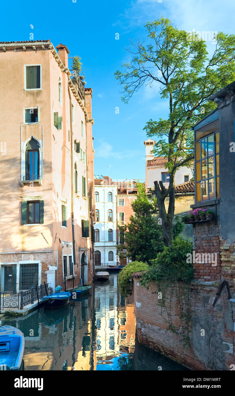 Venice view with tree Stock Photo - Alamy