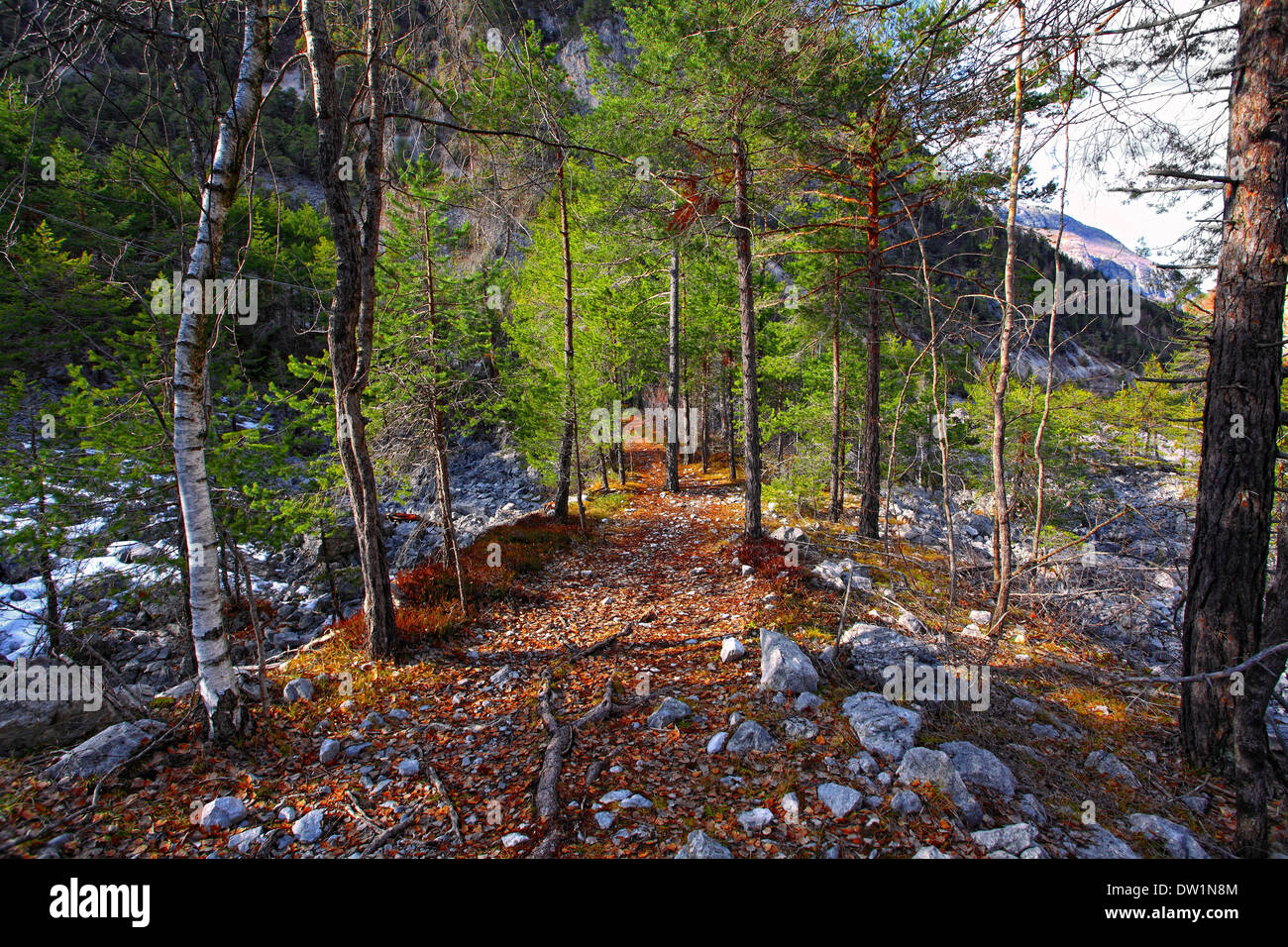 Italian wood hi-res stock photography and images - Alamy