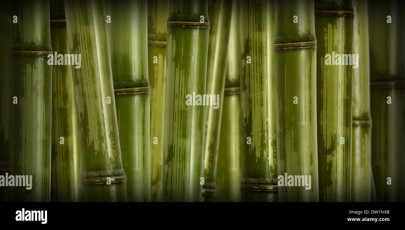 wide hard bamboo background Stock Photo - Alamy