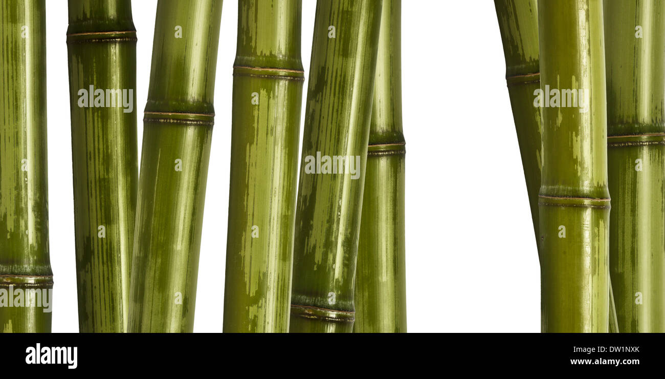 wide hard bamboo background Stock Photo - Alamy