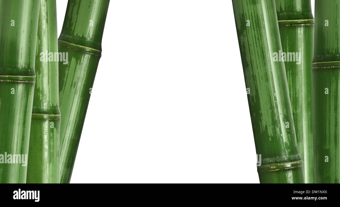 bamboo background isolated on white Stock Photo - Alamy