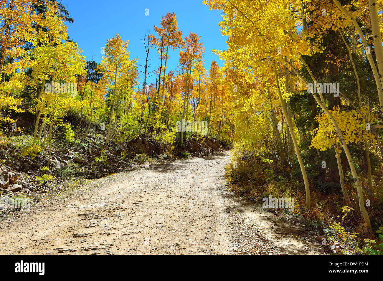 country road through colourful Colorado during foliage season Stock ...