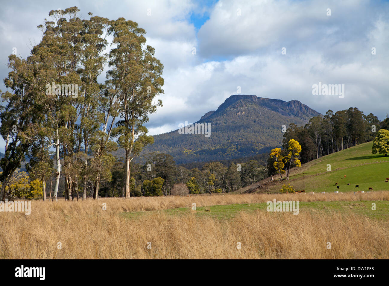 Quamby bluff and tasmania hi-res stock photography and images - Alamy
