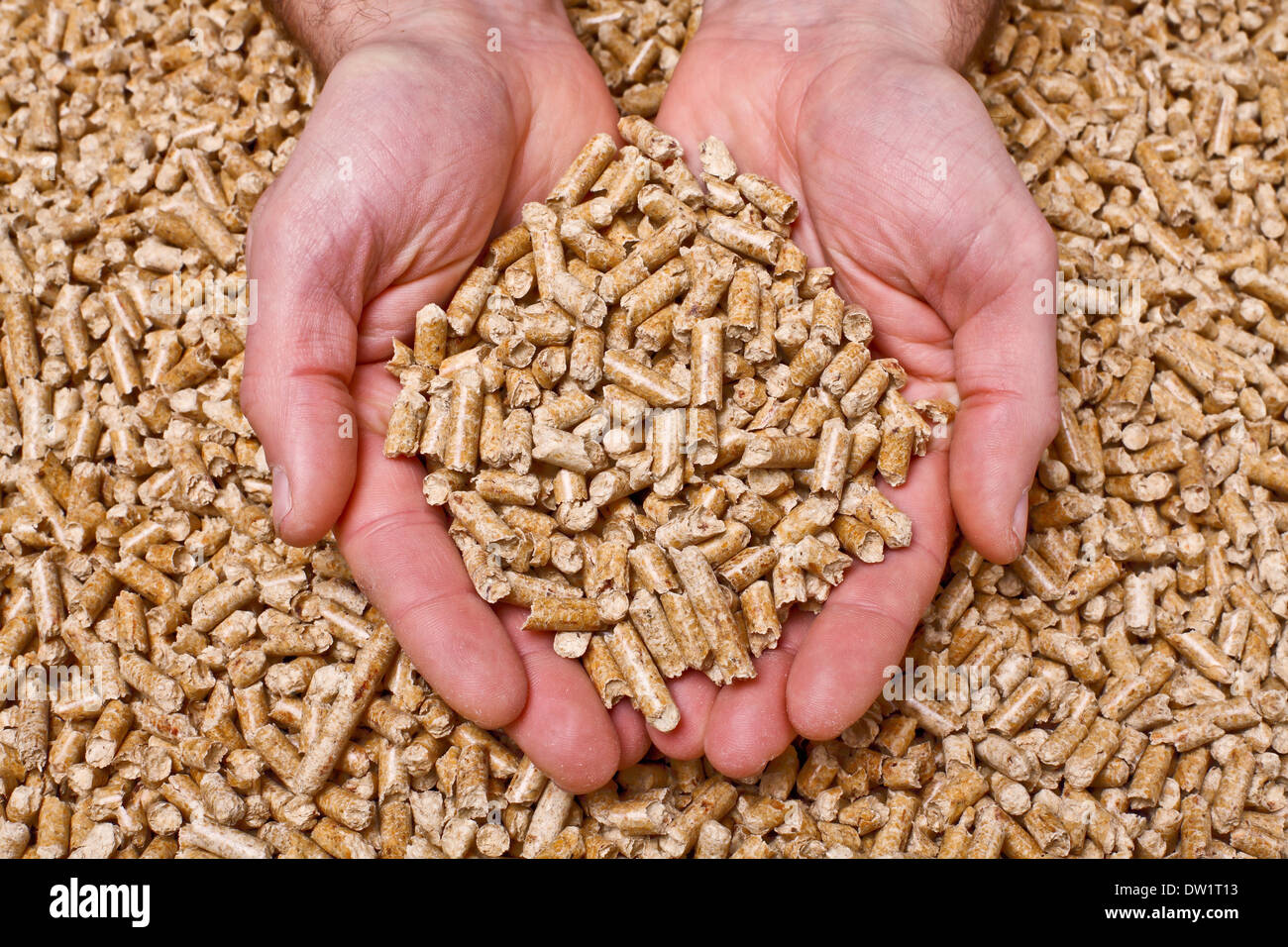 Wood pellet hi-res stock photography and images - Alamy