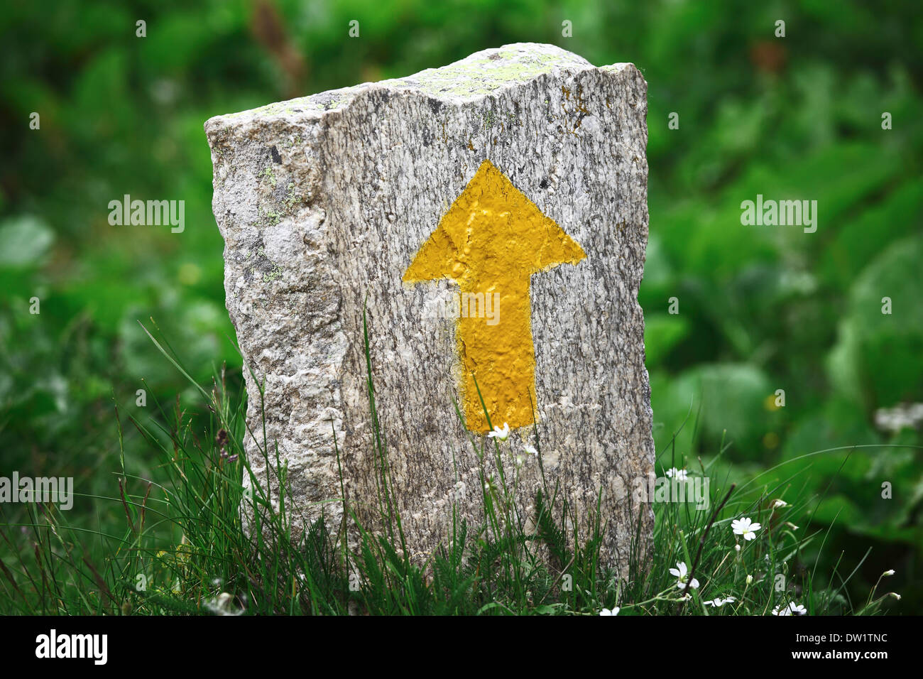 Stone Arrow High Resolution Stock Photography and Images - Alamy