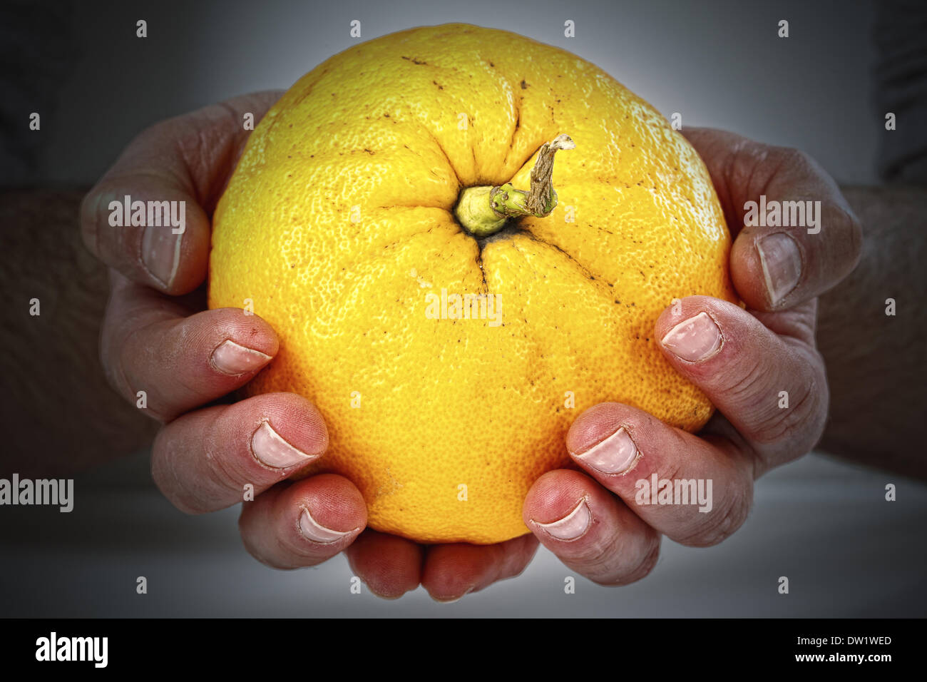 old hands holding grapefruit Stock Photo - Alamy