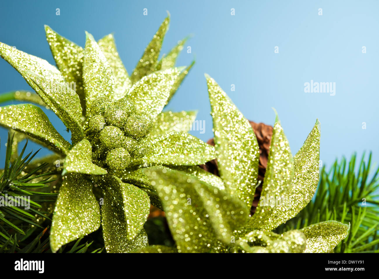 Poinsettia tree hi-res stock photography and images - Alamy