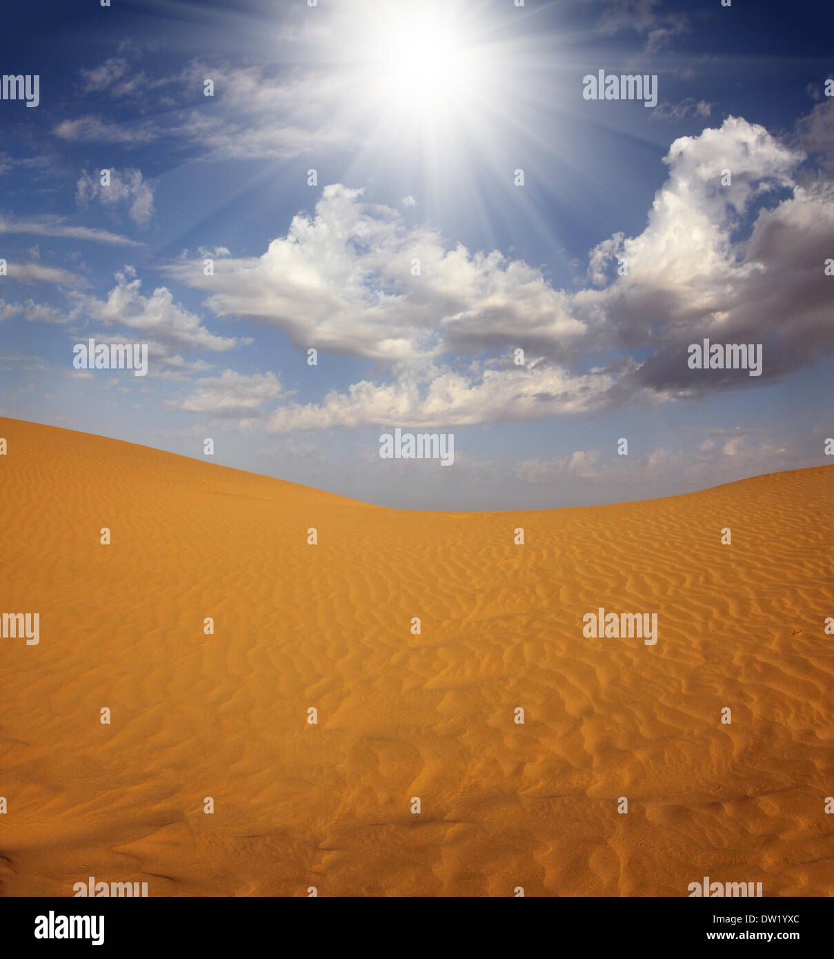 landsape in Tar desert India Stock Photo - Alamy