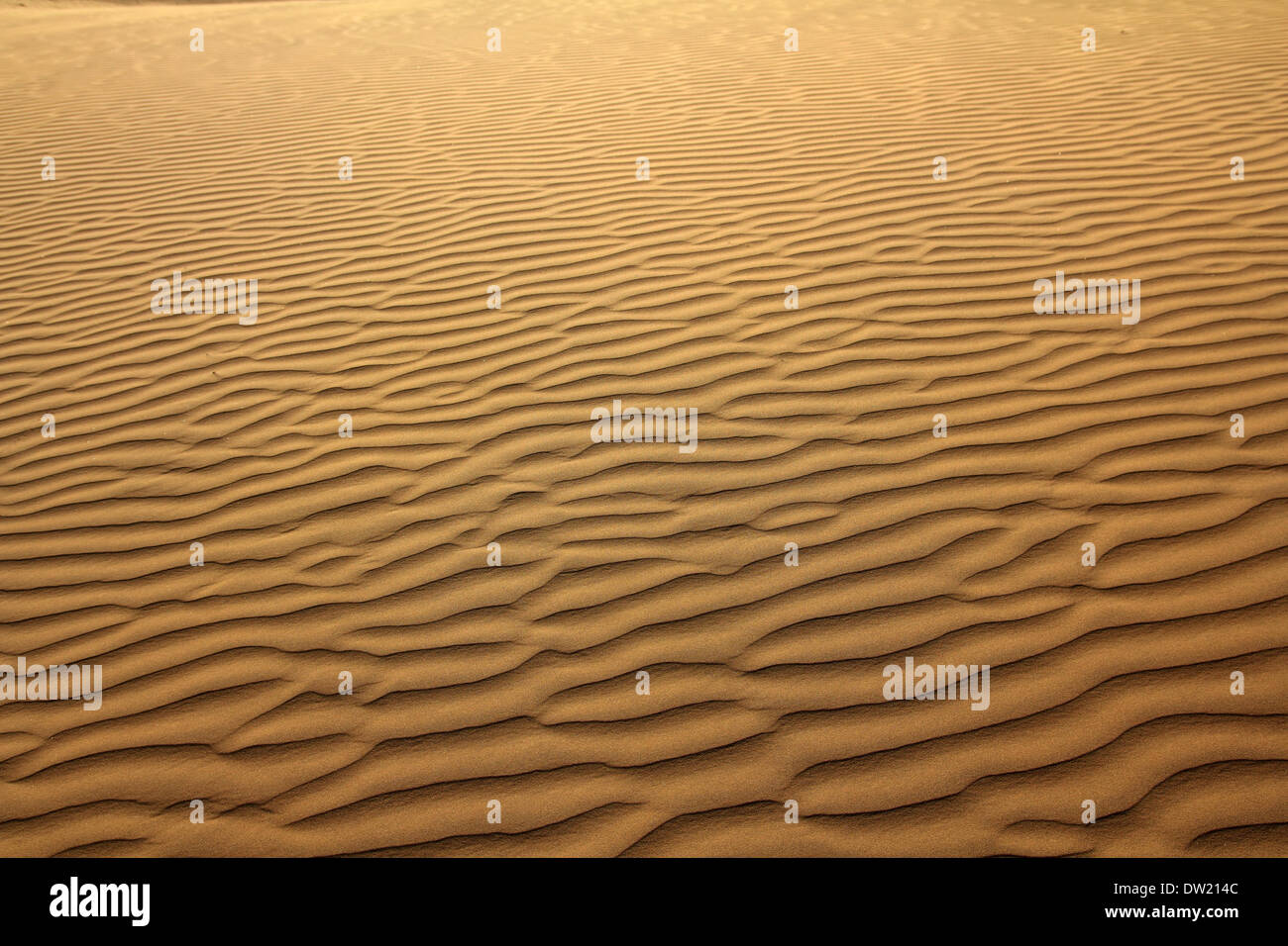 Sand in desert ripple hi-res stock photography and images - Alamy