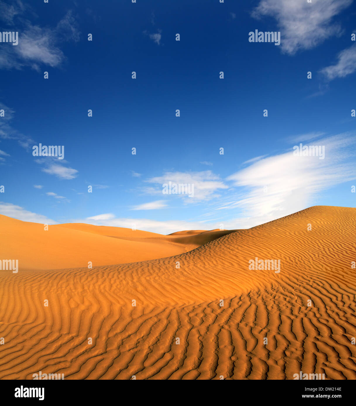 evening desert landscape Stock Photo - Alamy