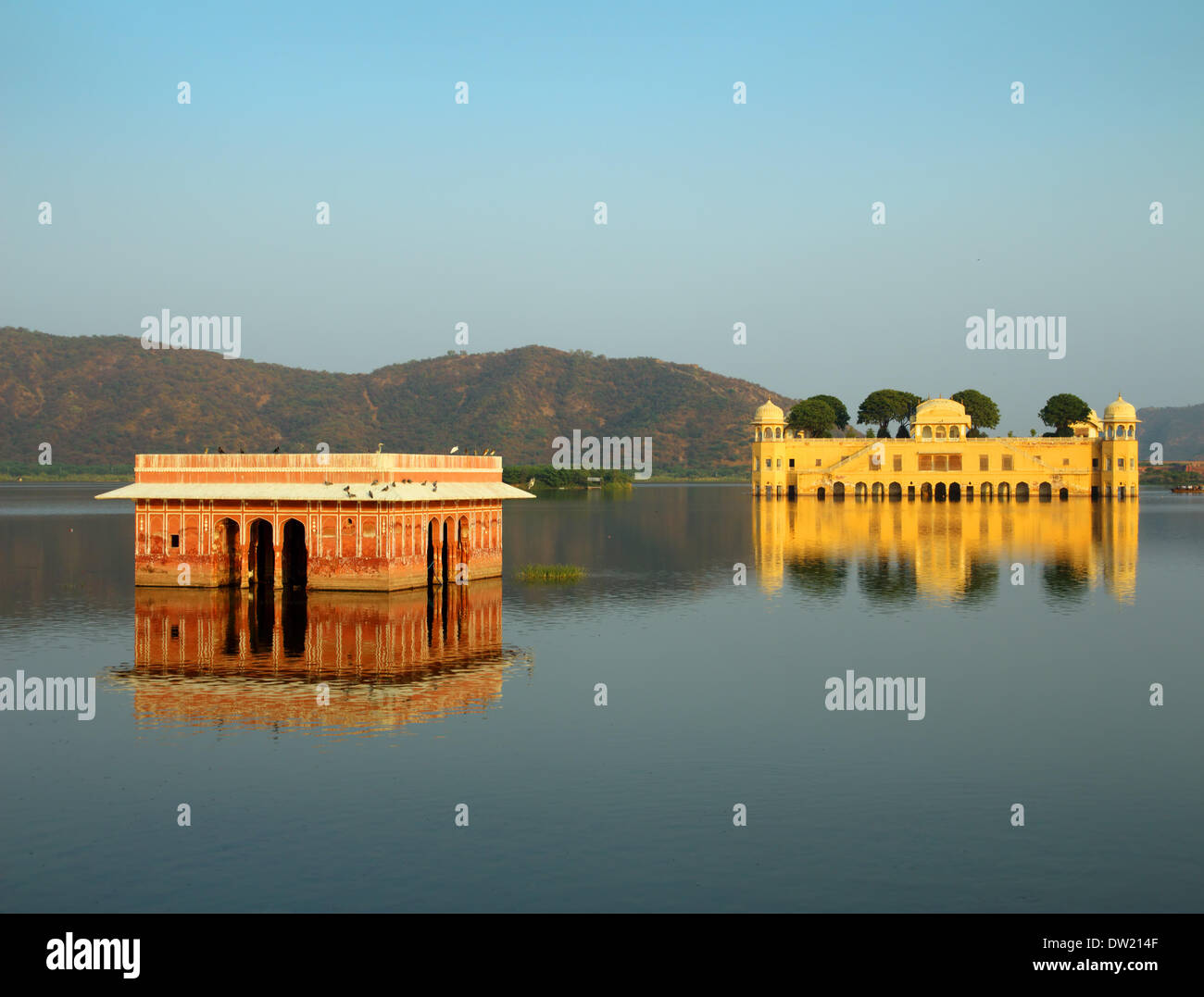 jal mahal - palace on lake in Jaipur Stock Photo - Alamy