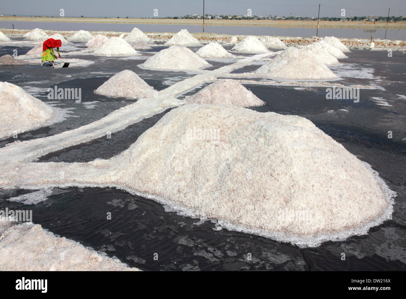 salt mining in India Stock Photo - Alamy