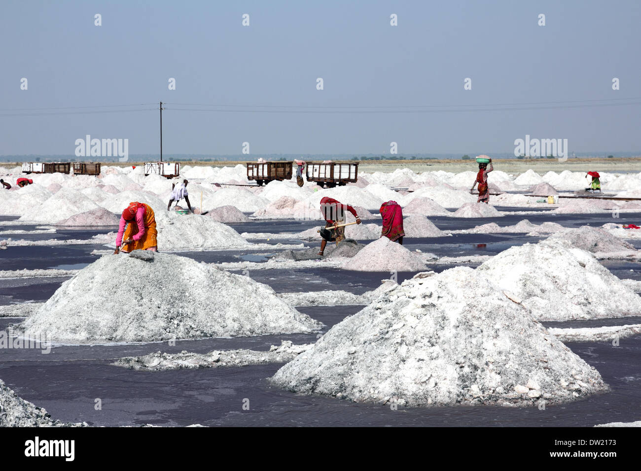 salt mining in India Stock Photo - Alamy