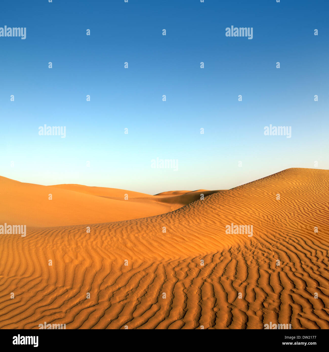 Evening desert landscape hi-res stock photography and images - Alamy