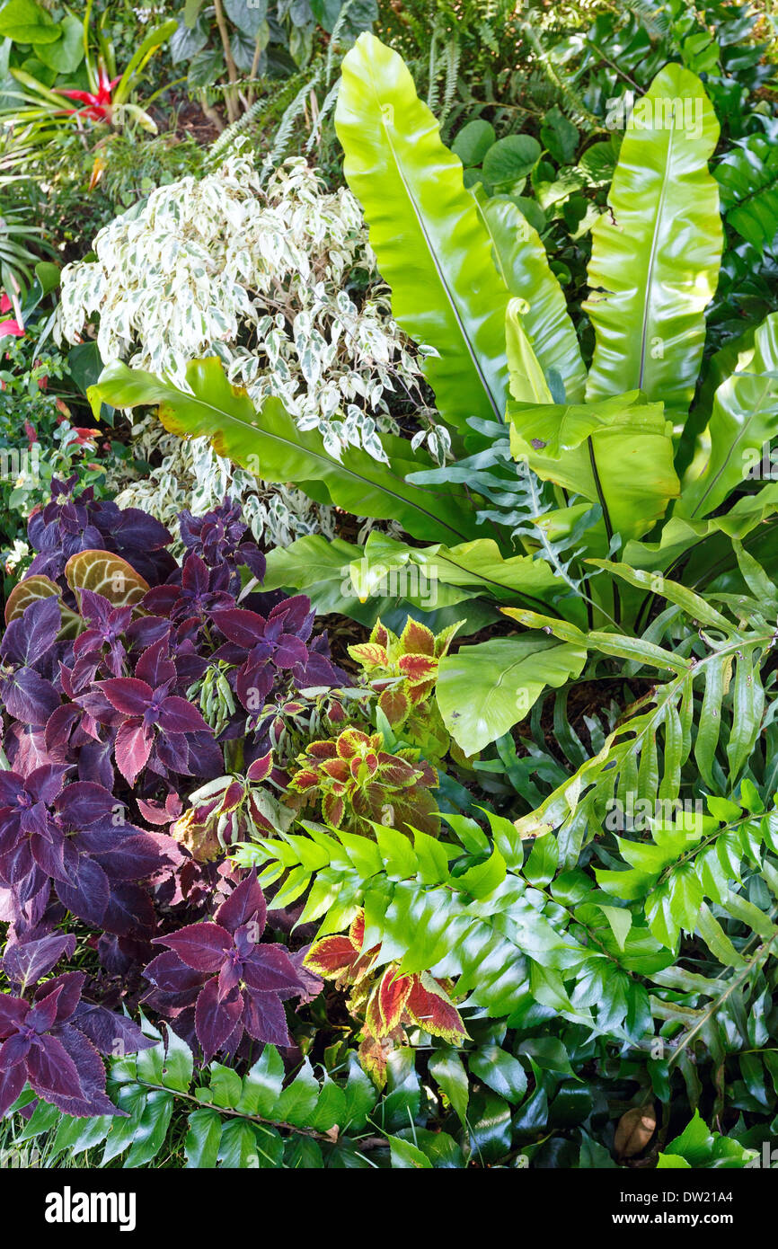 Green vegetative background Stock Photo - Alamy