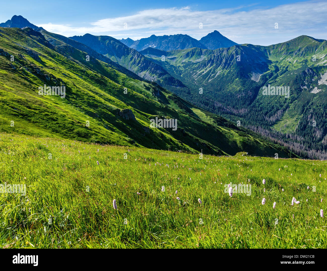 Summer Tatra Mountain, Poland Stock Photo - Alamy
