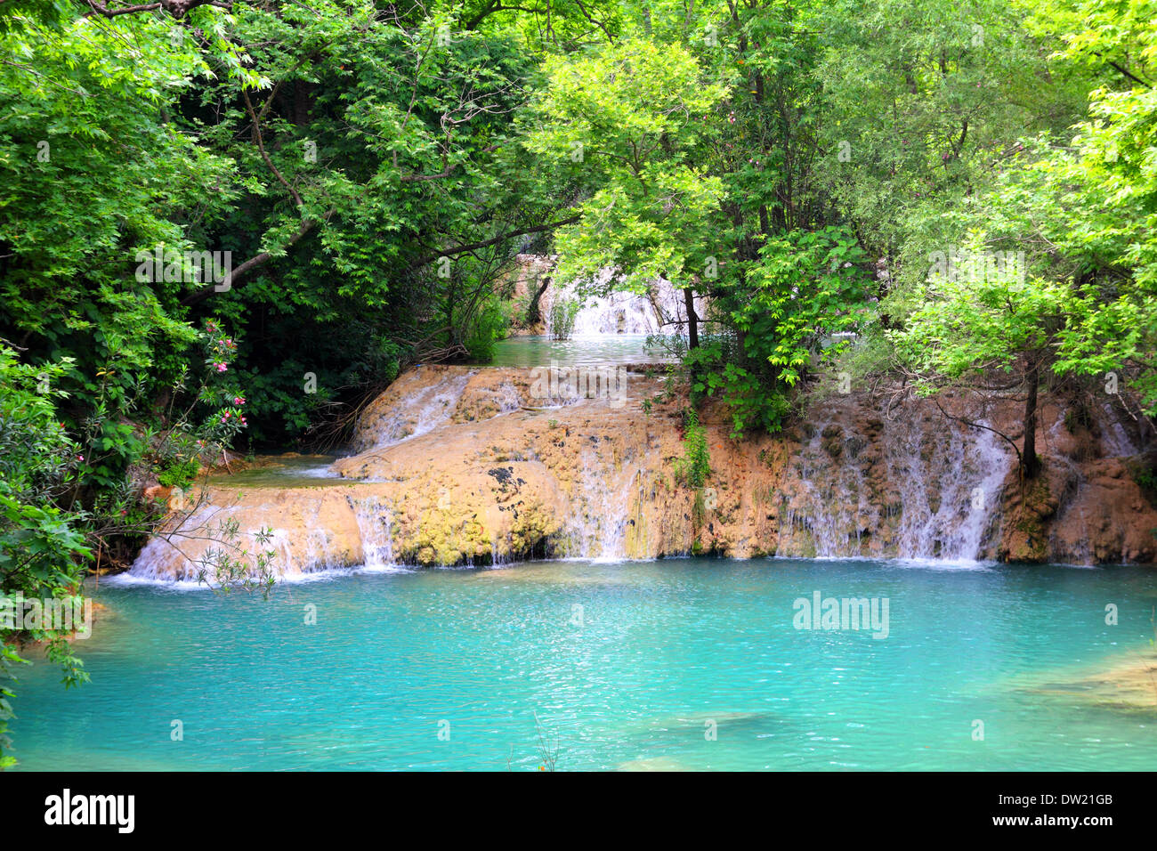 Waterfall in forest nature hi-res stock photography and images - Alamy