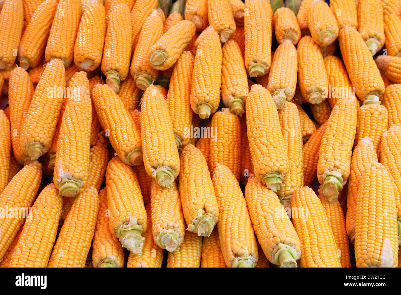 ripe corn - food background Stock Photo - Alamy
