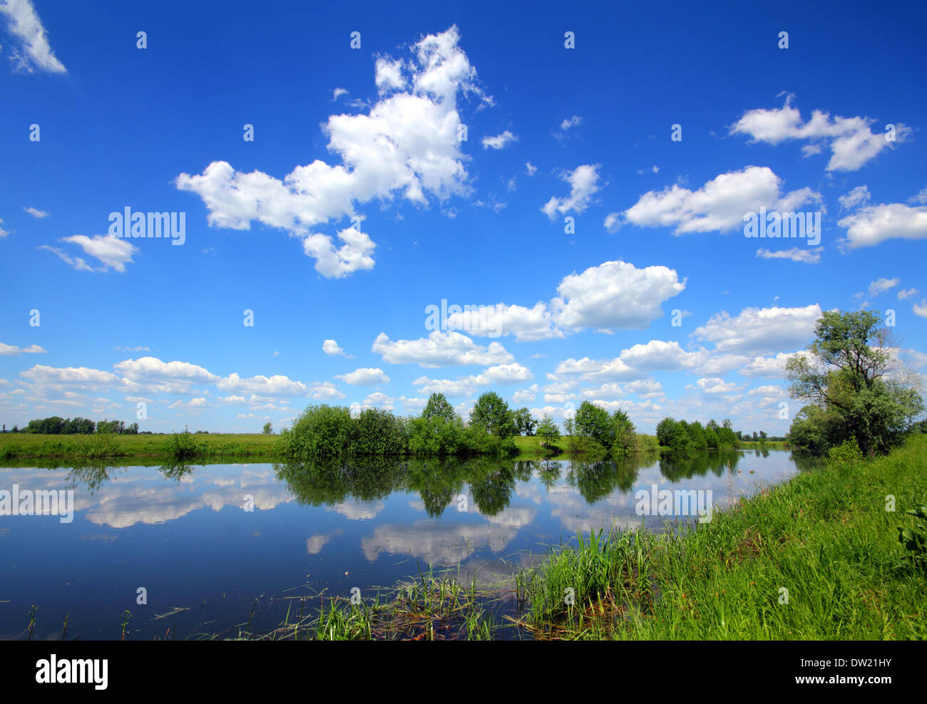 beautiful summer lake landscape Stock Photo - Alamy