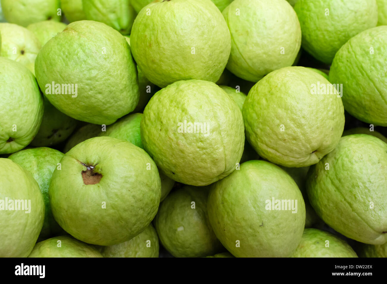 Guavas High Resolution Stock Photography and Images - Alamy