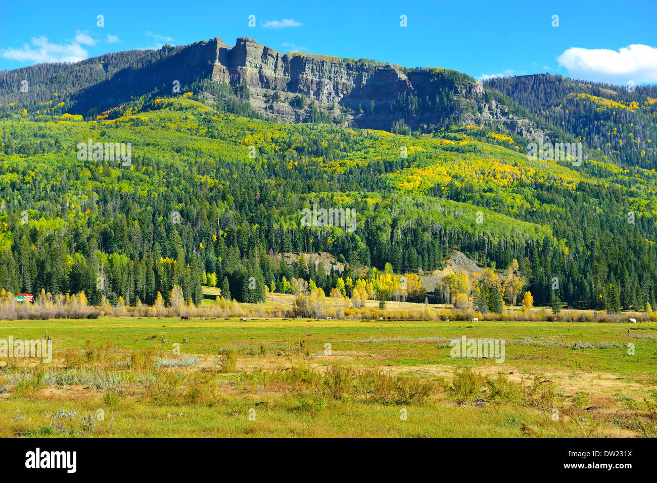 colourful mountains of Colorado during foliage season Stock Photo - Alamy