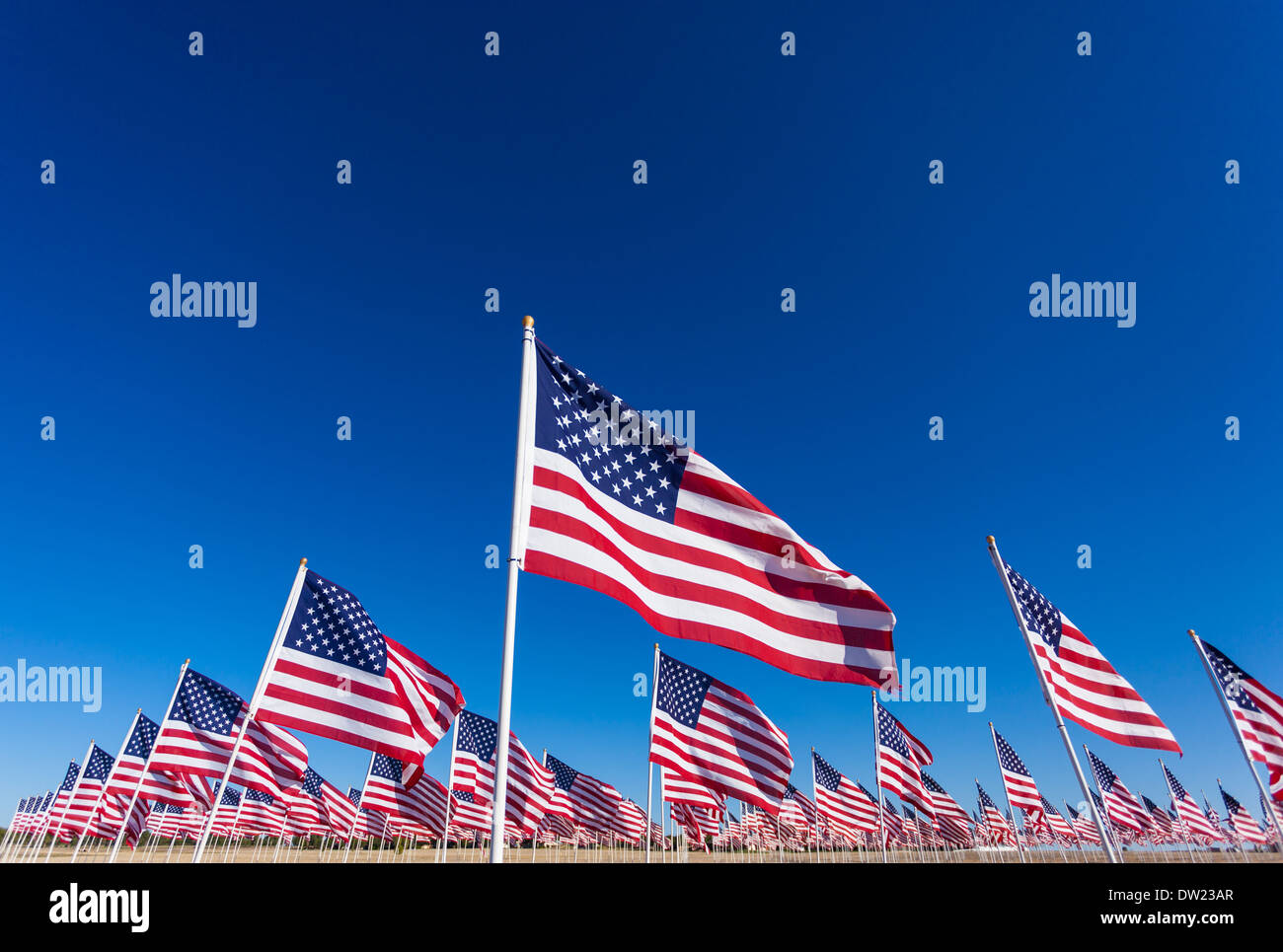 Patriotic flags display hi-res stock photography and images - Alamy