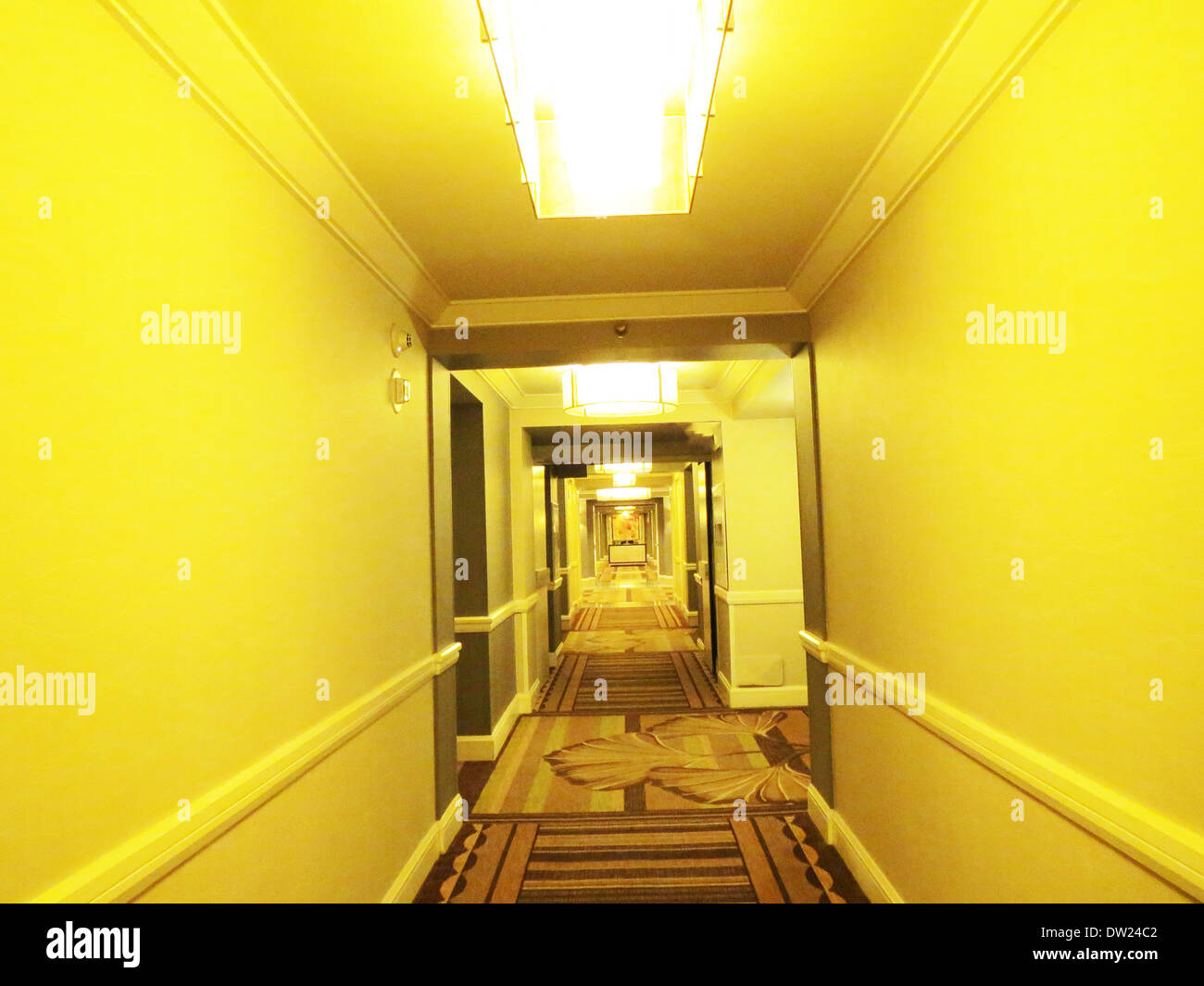 Beautiful Corridor-Architecture is the art and science of designing ...