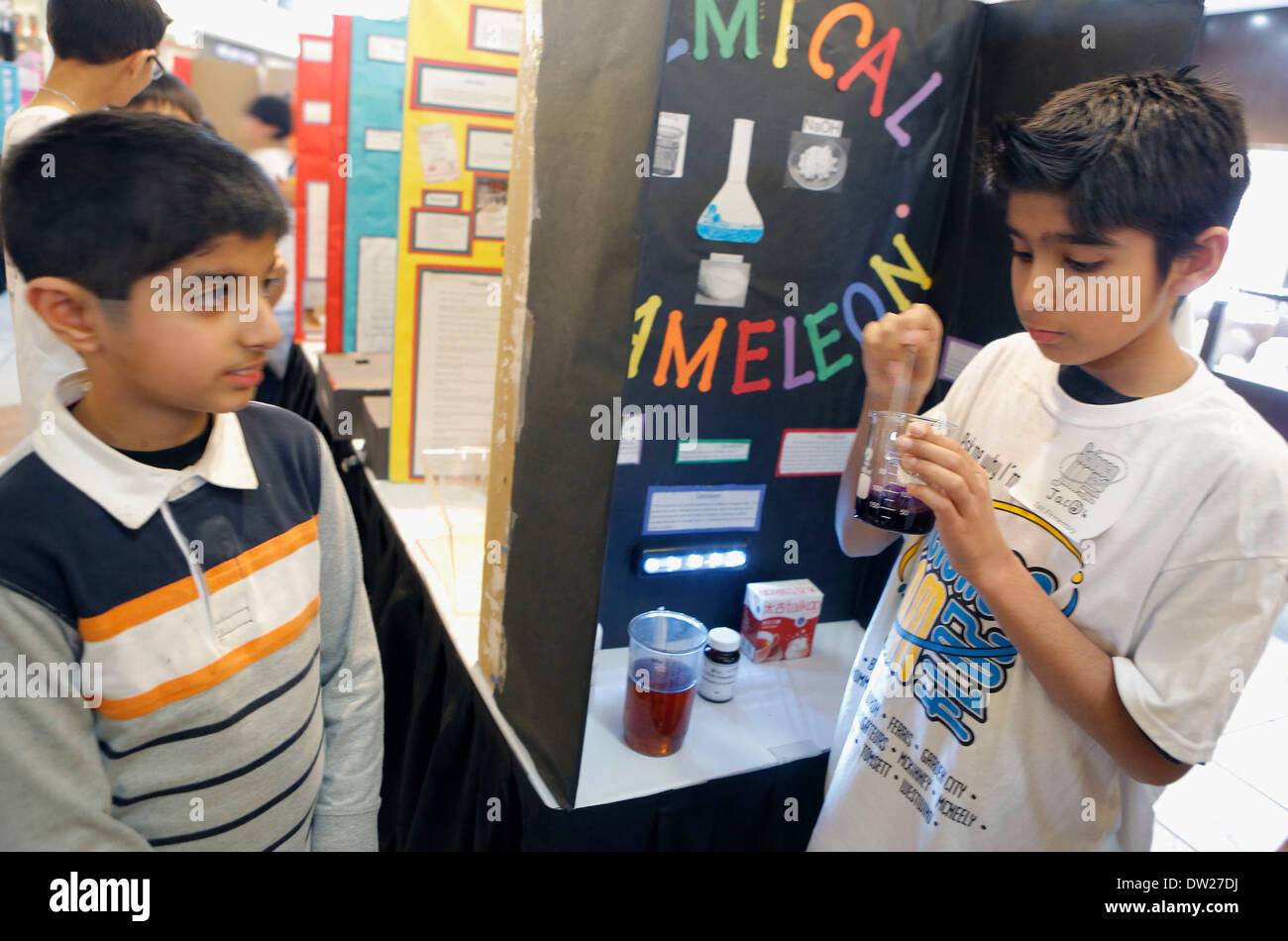 Student science fair experiment hi-res stock photography and images - Alamy