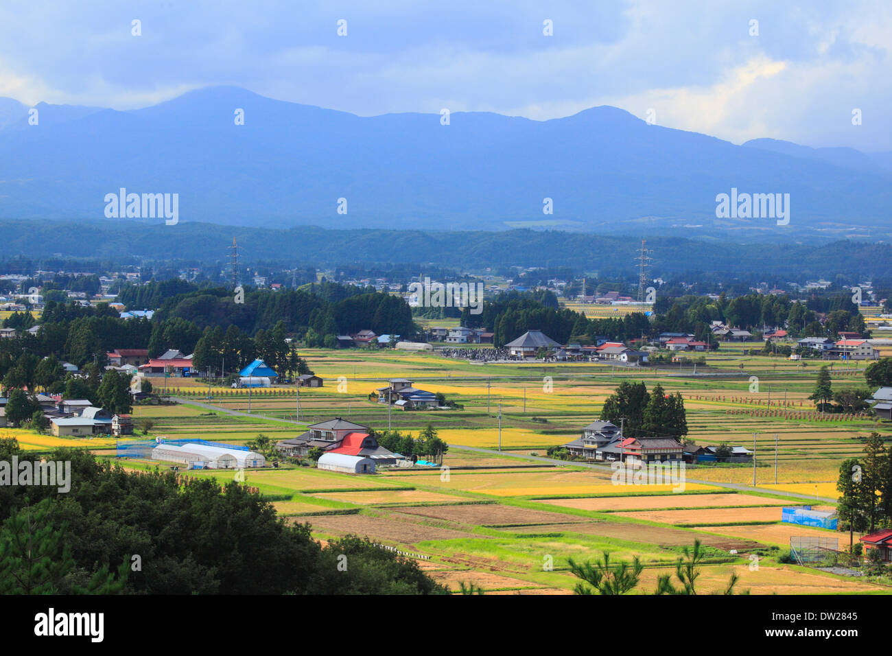 Miwakemori hi-res stock photography and images - Alamy
