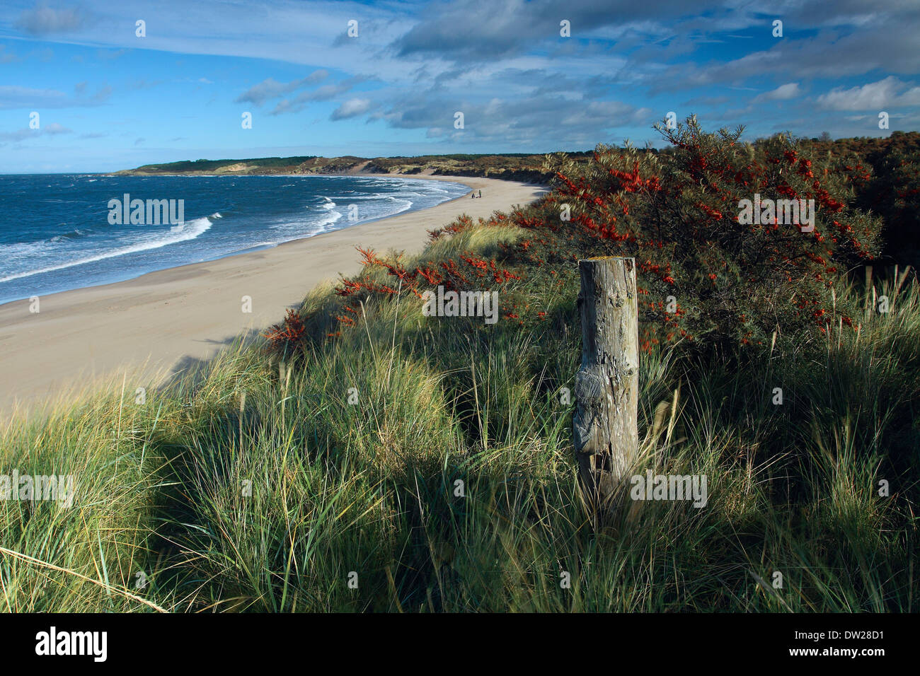 Gullane hi-res stock photography and images - Alamy