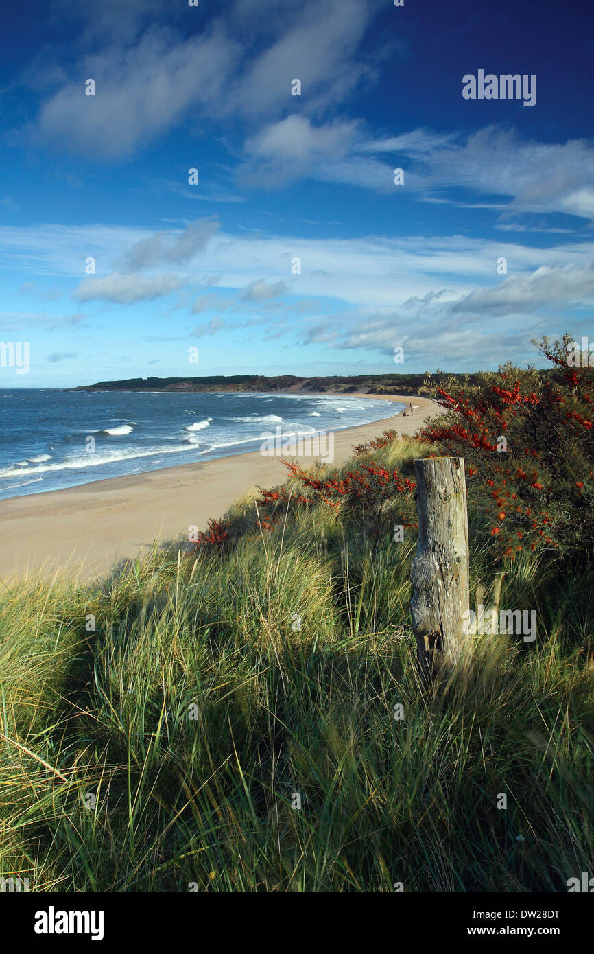 Gullane hi-res stock photography and images - Alamy