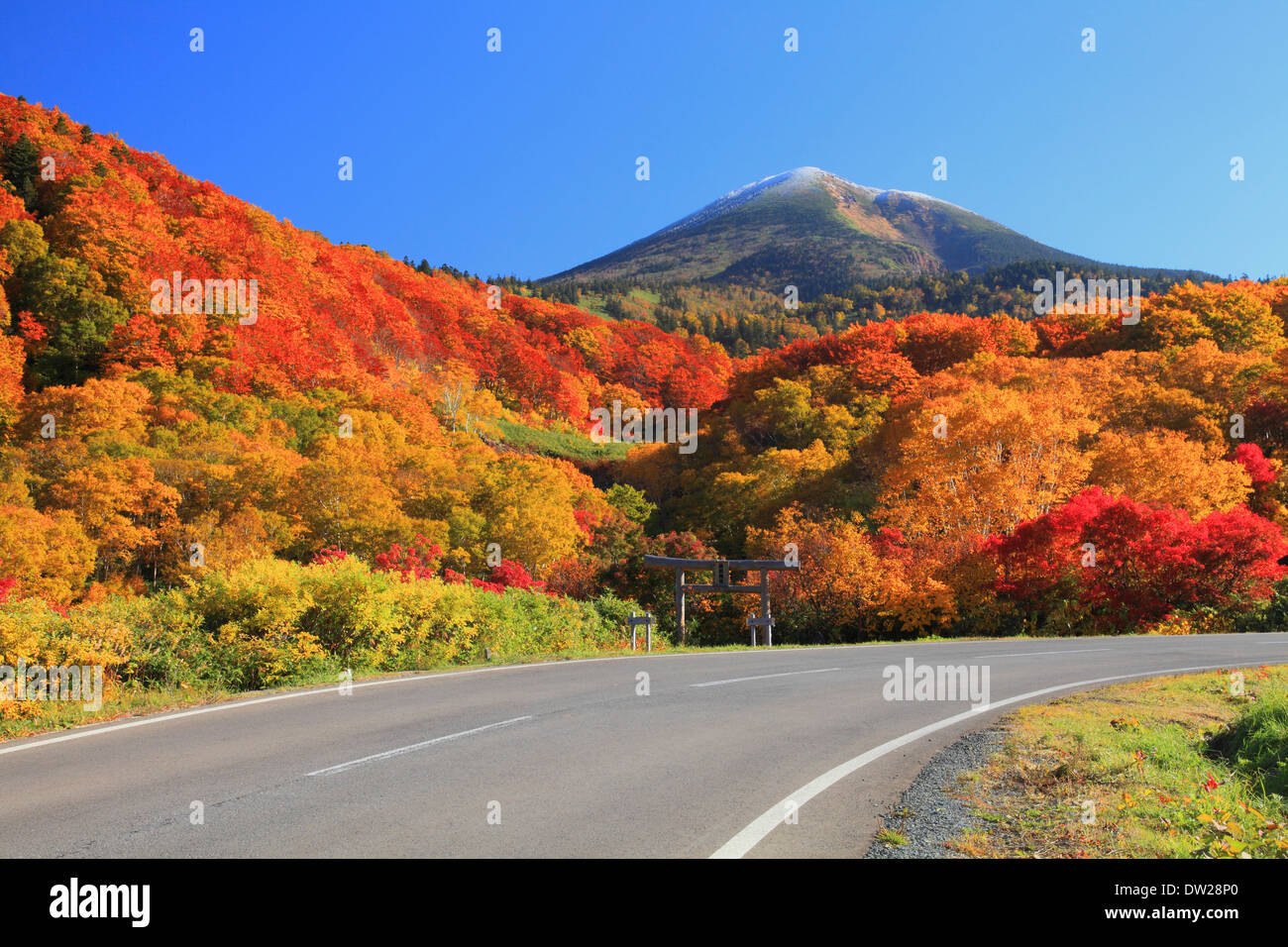 Otake japan hi-res stock photography and images - Alamy