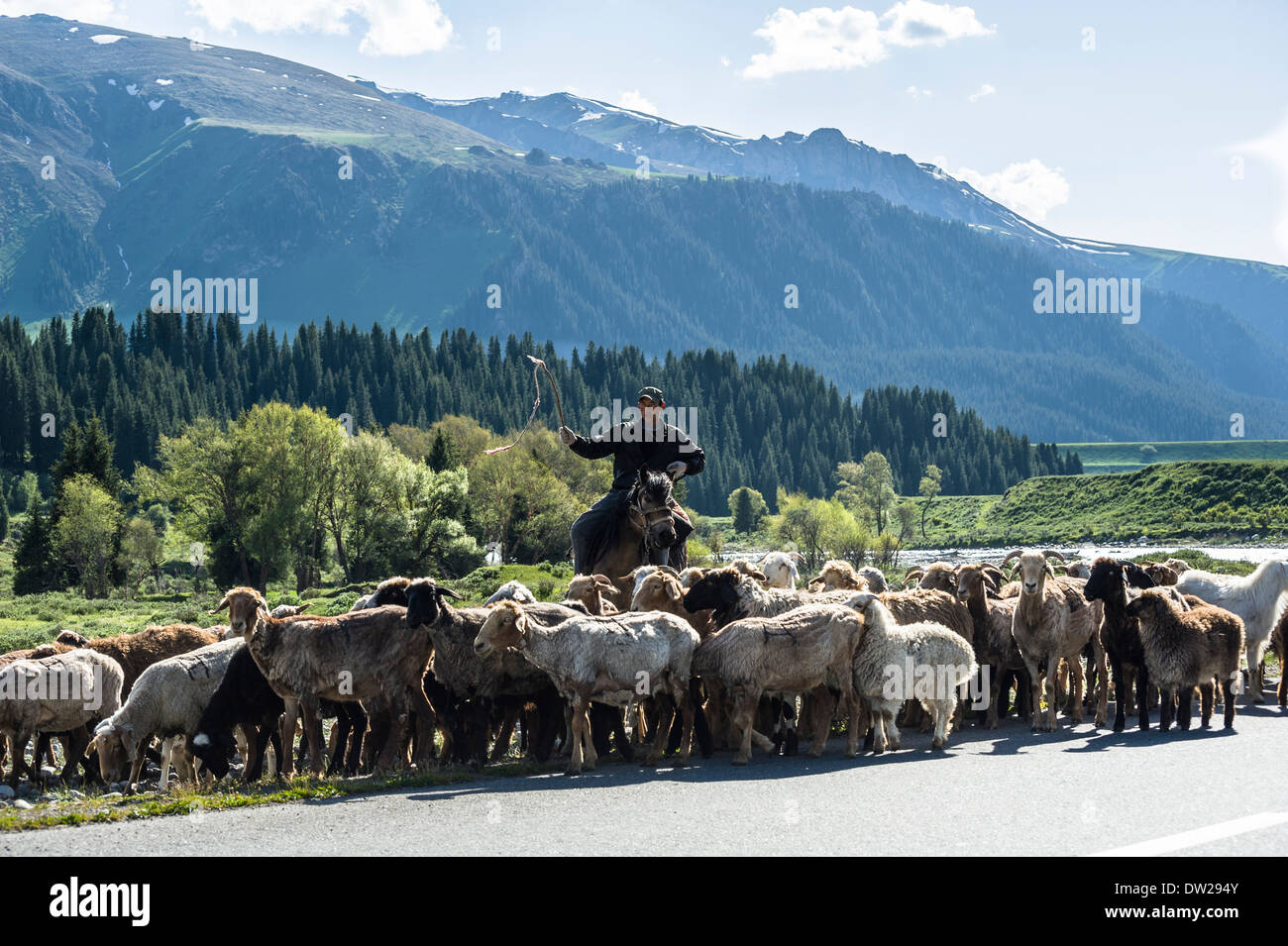 Yili xinjiang hi-res stock photography and images - Alamy