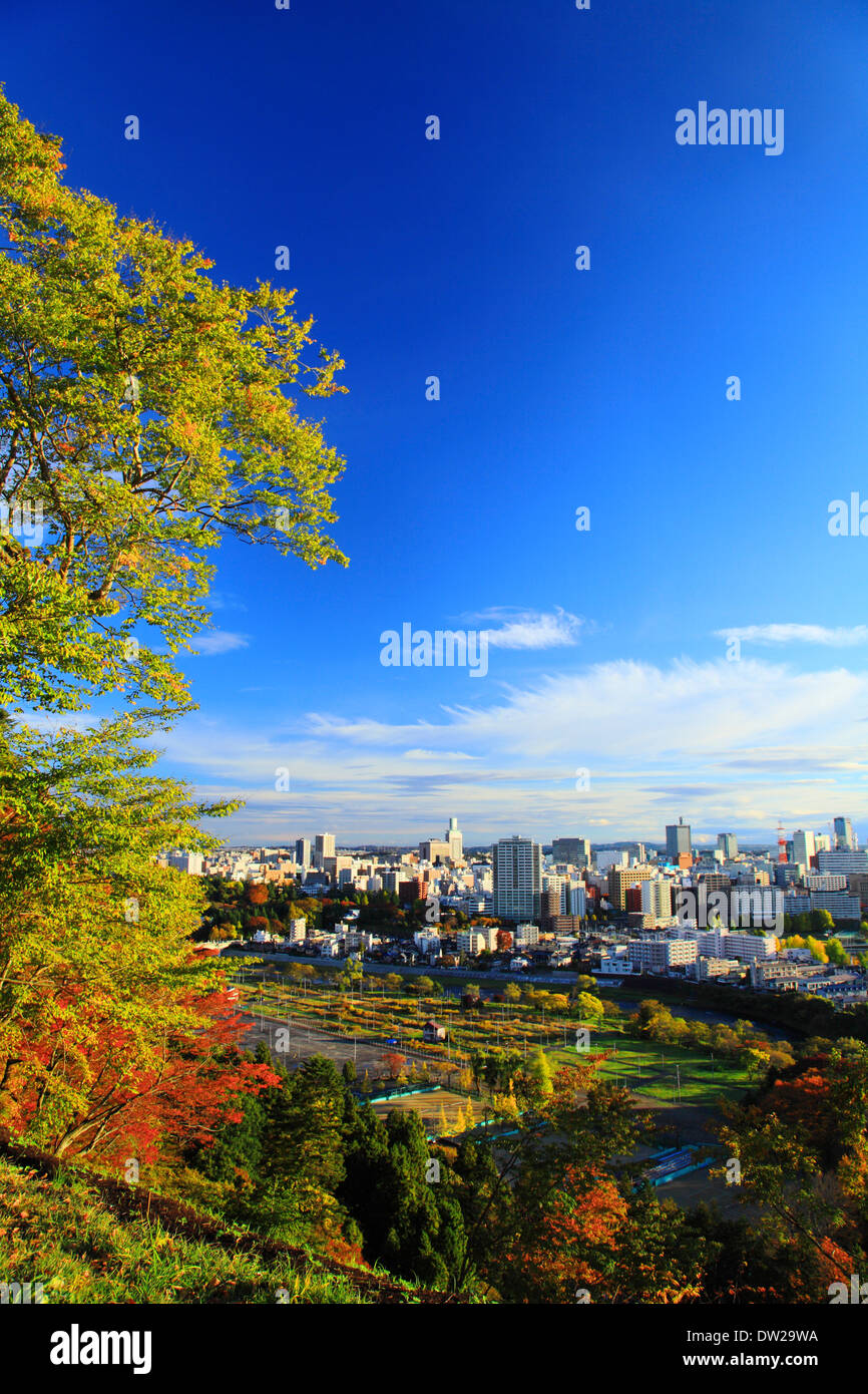 Sendai castle ruins hi-res stock photography and images - Alamy
