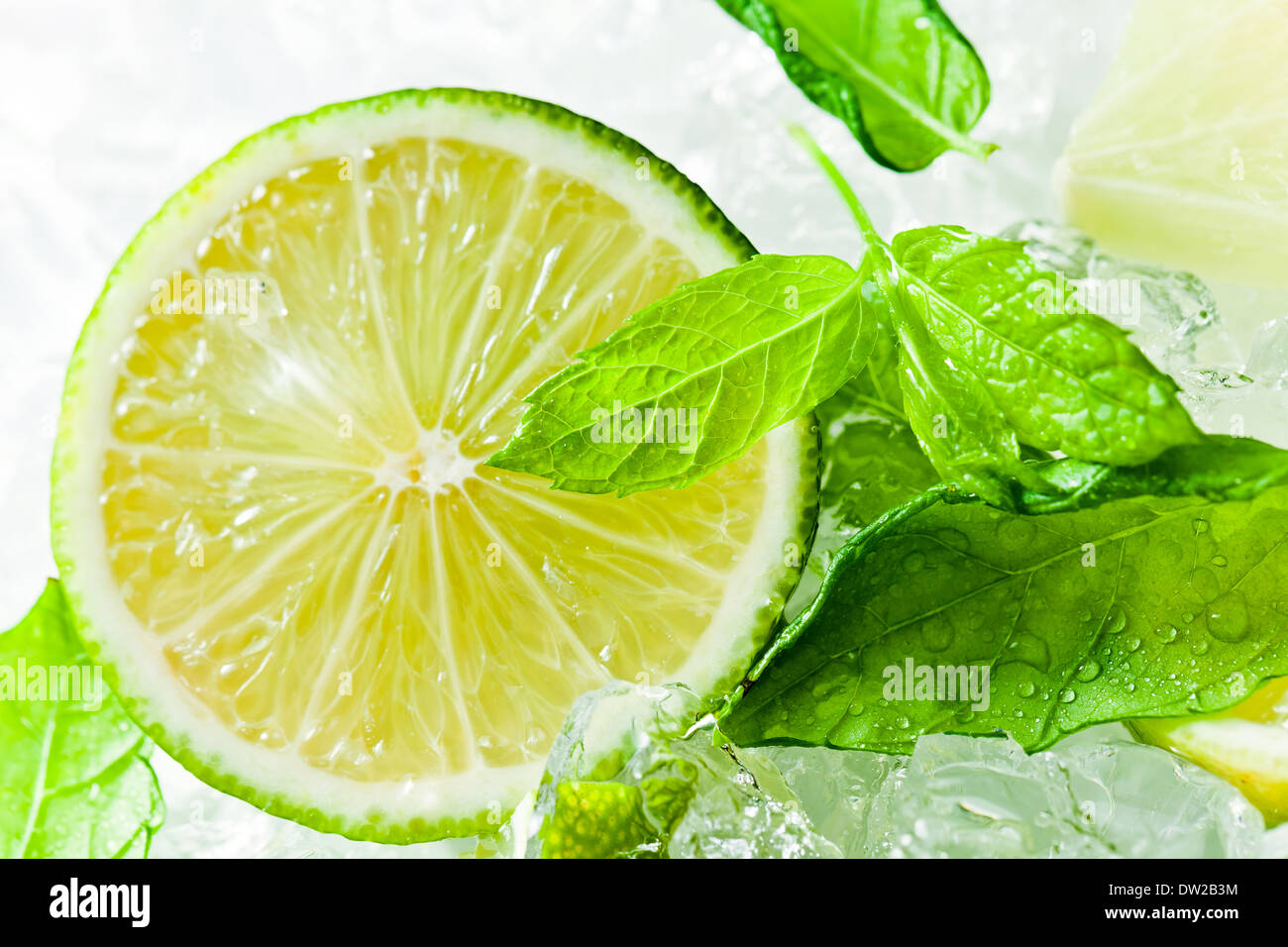 lime pieces and leaves of mint with ice Stock Photo - Alamy