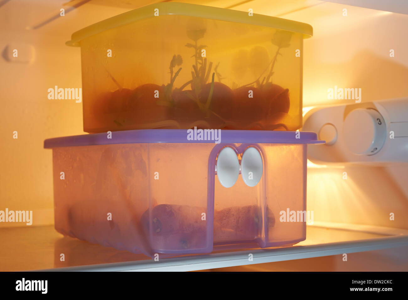 Root vegetables fridge hi-res stock photography and images - Alamy