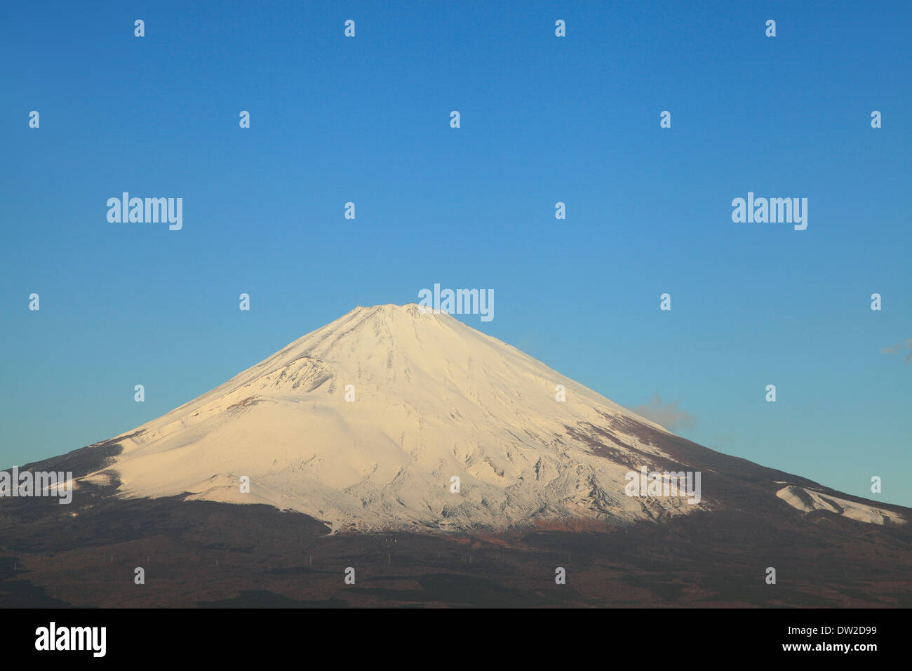 Mount fuji base hi-res stock photography and images - Alamy