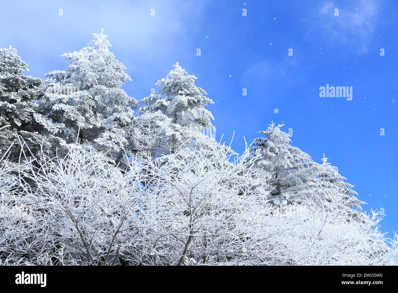 Rimed Crystal High Resolution Stock Photography and Images - Alamy