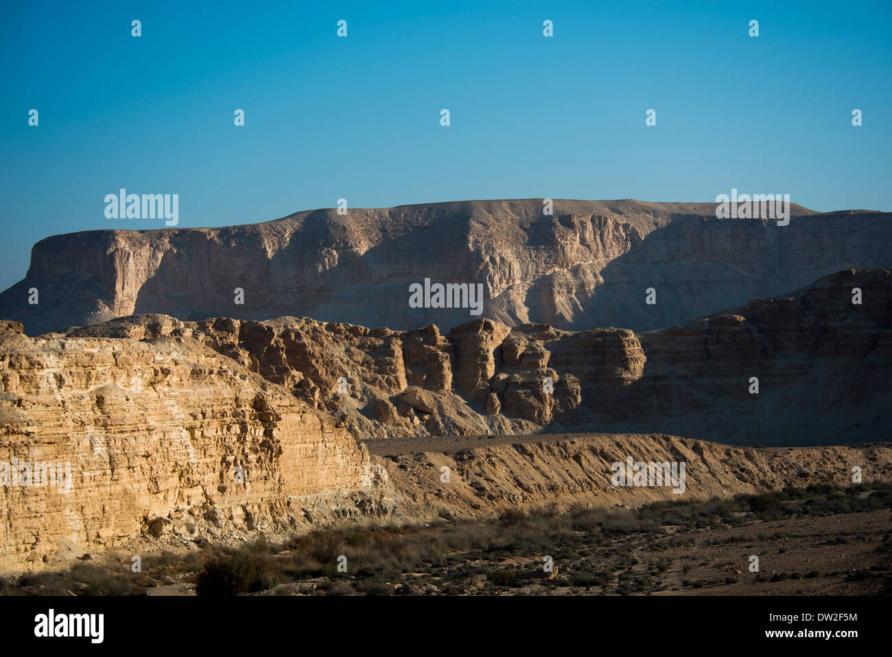 Negev Desert,Wadi Zin, Wilderness of Zin , Israel Stock Photo - Alamy