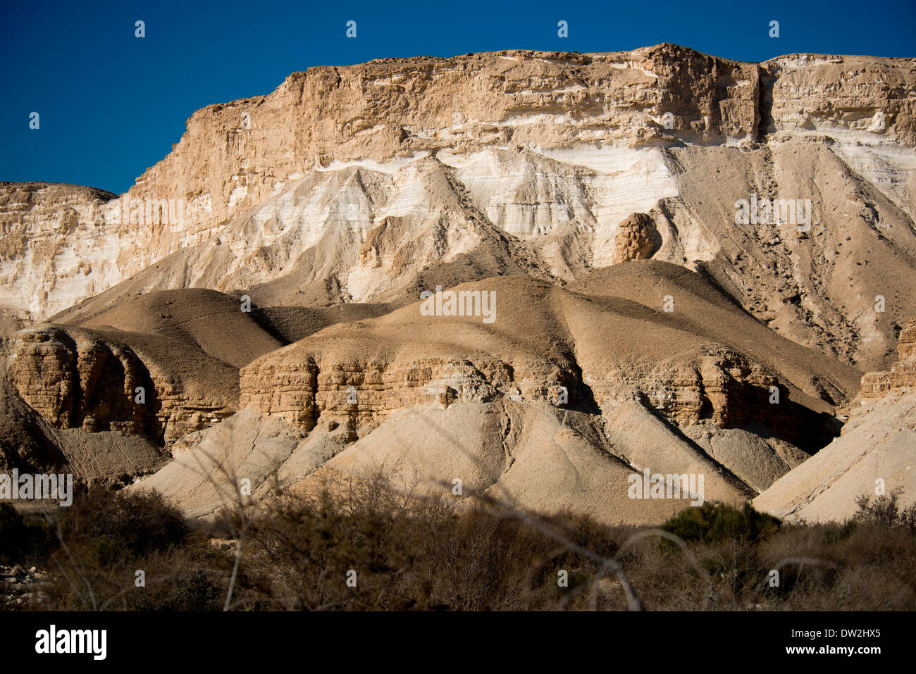 Negev Desert,Wadi Zin, Wilderness of Zin , Israel Stock Photo - Alamy